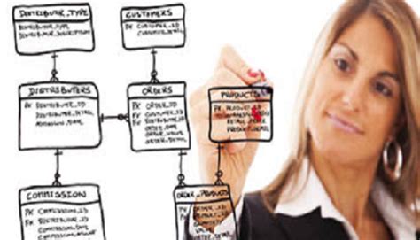 Consultantor Hired Programmer