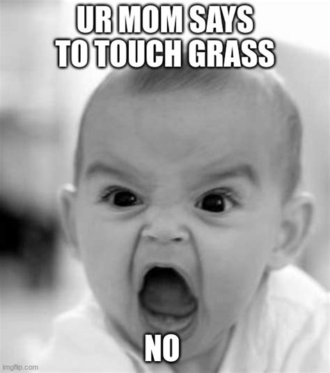 Grass Imgflip