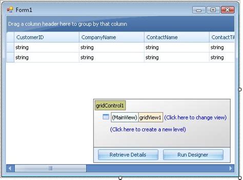 New Layout View For Xtragrid