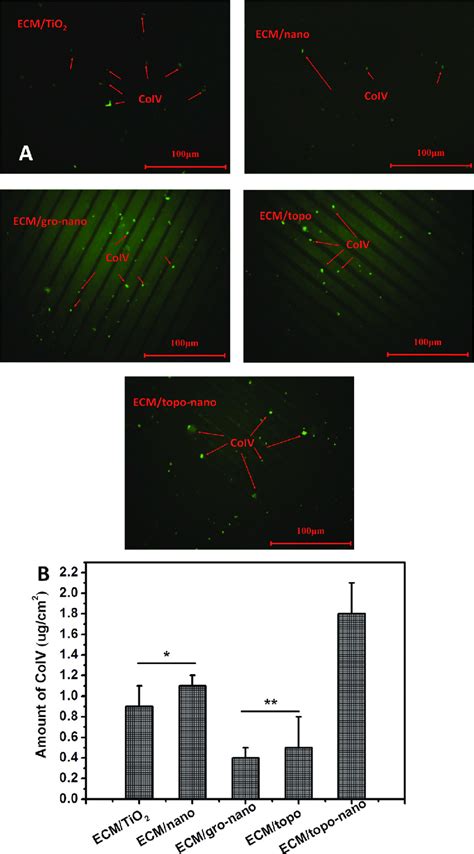 A Qualitative And B Quantitative Characterizations Of Coiv On The