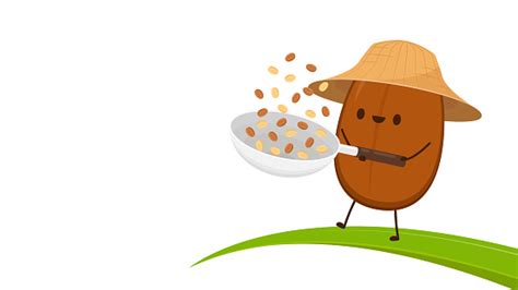 웃는 행복한 커피 콩 벡터 평면 만화 캐릭터 그림 아이콘 디자인 흰색 배경에 격리 커피 콩 캐릭터 개념입니다 갈색에 대한 스톡 벡터 아트 및 기타 이미지 Istock