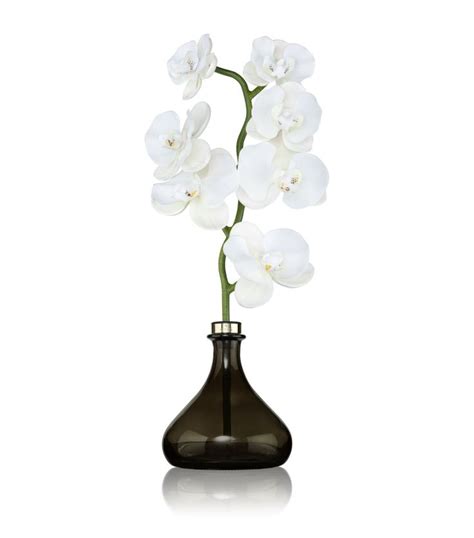 Senti White Flowers Orchid Diffuser 250ml Flower