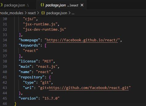 실습til Npm의 Dependencies Version과 Caret 의미