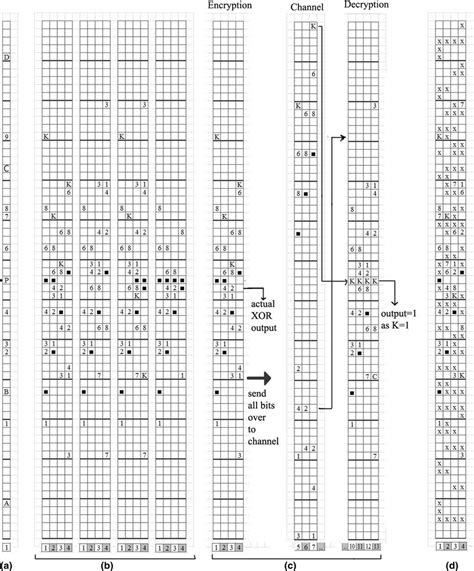 Iterating Through The Automata A Initialization Of The Cells B Four Download Scientific