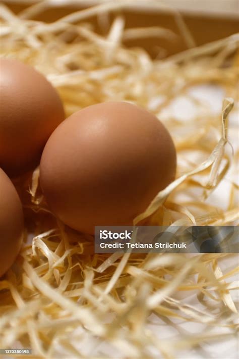 건초 배경에 소박한 계란을 닫습니다 에코 배경에 갈색 계란부활절 공예 상자 건초와 짚공예 테이블에 치킨 계란 원시 제품의 클로즈업 보기 나무 빨대 에코 팜 3가지 개체에