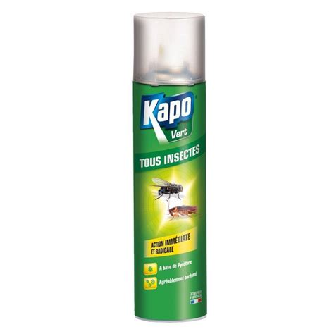 AEROSOL TOUS INSECTES VOLANTS 300 ML