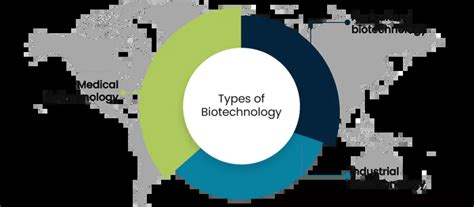Types Of Biotechnology And Applications Biotech Industry Insights