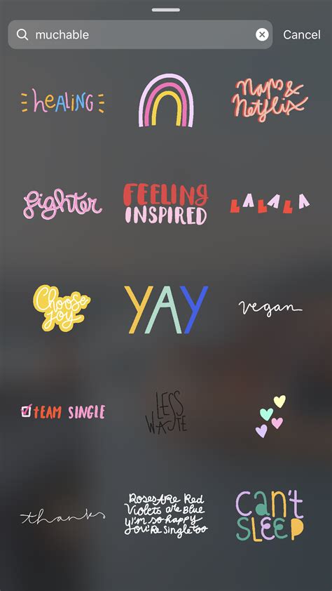 Cómo encontrar los mejores Gifs para Instagram Stories Diana Miaus