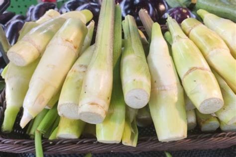 茭白的功效与作用、禁忌和食用方法彩牛养生