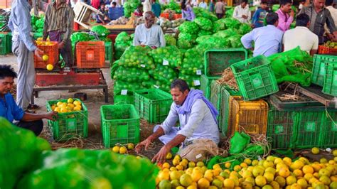 Agricultural Produce Marketing Committees