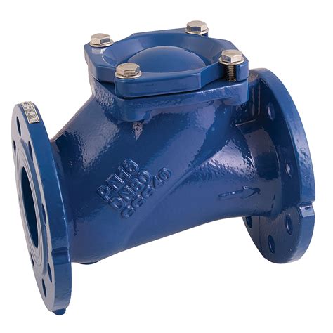 6 Pn16 Cast Iron Ball Check Valve The Fluid Power Catalogue