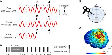 Experimental Design A Three Combined Stimulation Conditions