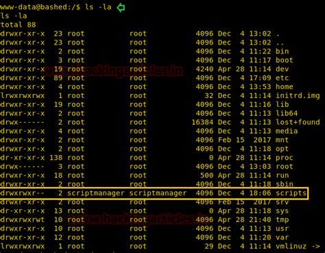 Hack The Box Challenge Bashed Walkthrough Hacking Articles