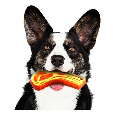 Brinquedo Para Cães Bife De Borracha Para Cachorro Pet Parcelamento