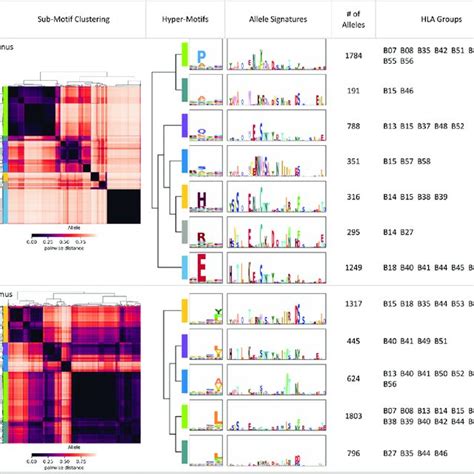 The Relation Between Mhc I Sequences And Mhc I Binding Motifs A
