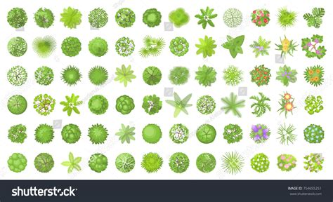 Vector Set Trees Top View Different Stock Vector Royalty Free Shutterstock