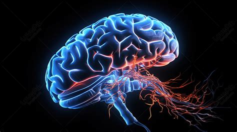 정밀한 품질로 정확하고 상세한 의료 뇌 묘사를 3d 렌더링 정도 배경 인간의 뇌 배경 신체 건강 배경 이미지 Hd 정도 인간의 뇌 신체 건강 배경 사진 무료