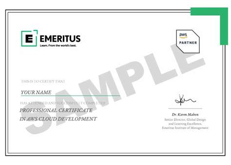 Professional Certificate In AWS Cloud Development