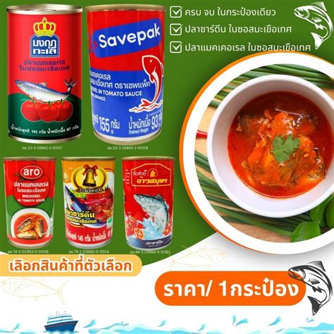 ปลากระป๋อง ปลาแมคเคอเรล ปลาซาร์ดีน ในซอสมะเขือเทศ ปลากระป๋อง ฝาดึง