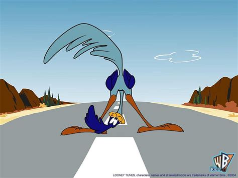 Looney Tunes Characters Roadrunner