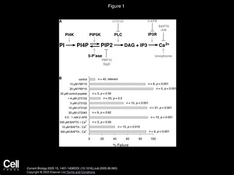 Volume 15 Issue 15 Pages August 2005 Ppt Download