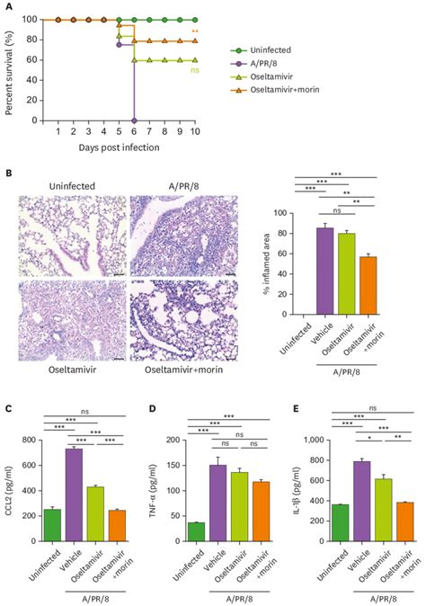 Improved Survival Of Virus Infected Mice After Treatment With A