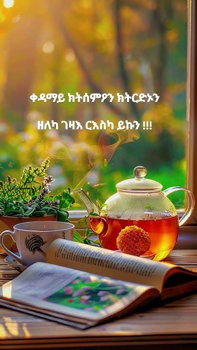 eritreancomedy eritreanews eritreanmusic eritrea eritrean eritreanfilm habesha