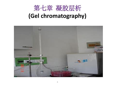 第七章凝胶层析 word文档在线阅读与下载 免费文档