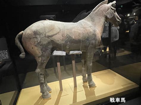 兵馬俑と古代中国