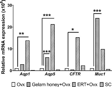 Mrna Mean Expression For Genes Aqp1 Aqp5 Cftr And Muc1 In Vagina