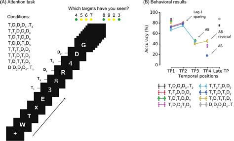 Figure 1 From Uva Dare Digital Academic Repository Representational