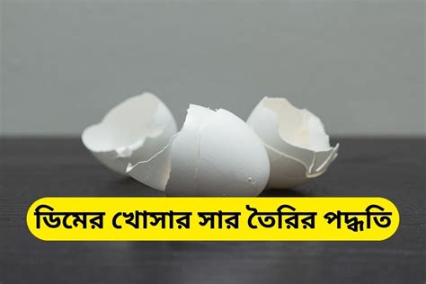ডিমের খোসার সার তৈরির পদ্ধতি ও ব্যবহার Bd Archives