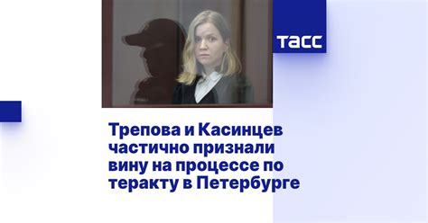 Трепова и Касинцев частично признали вину на процессе по теракту в