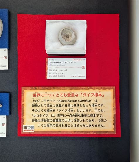 河村たかし 河村孝防府市議会議員 お正月に帰省できない方へ。2005年11月2日。映画館もあった、防長バスの新天地バス停付近の