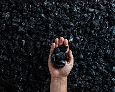 Peut On Mettre Du Charbon Dans Un Poêle à Bois