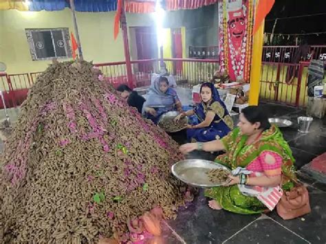 Grand Consecration Of Five Lakh Mortal Remains Of Shiva Linga Took