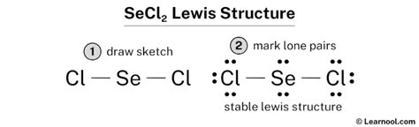 Secl2 Lewis Structure Learnool