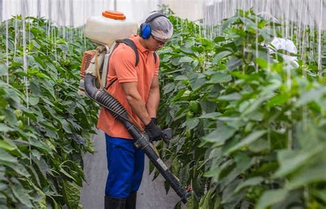 Weed Control Landm Pest Control