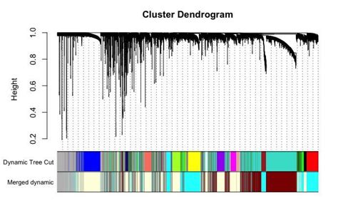 How To Improve This Wgcna Analysis R Bioinformatics