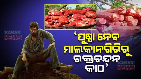 Red Sandal Wood At Malkangiri Shoot Of Movie Pushpa The Rule Part