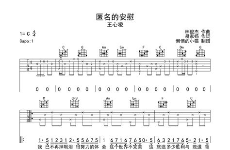 匿名的安慰吉他谱王心凌c调吉他弹唱谱 简谱网