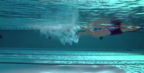 Los 4 Pilares Básicos Para La Natación A Crol Planeta Triatlón