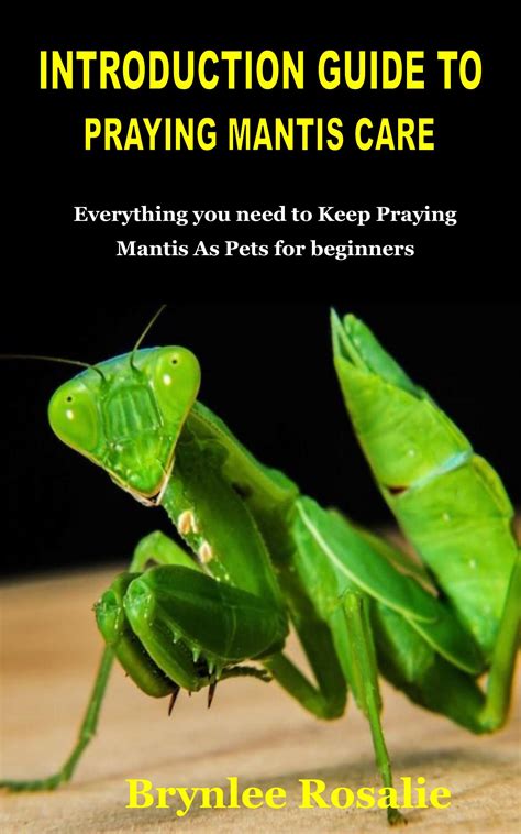 Buy INTRODUCTION GUIDE TO PRAYING MANTIS CARE Everything You Need To Keep Praying Mantis As