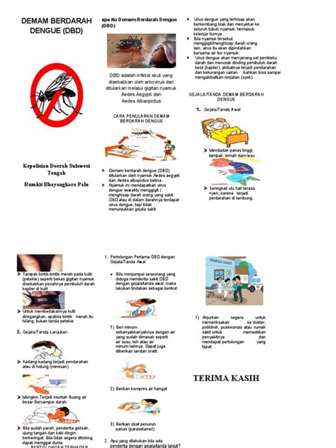 Leaflet Dbd Pdf