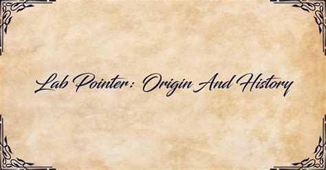 Origin And History Of Lab Pointer