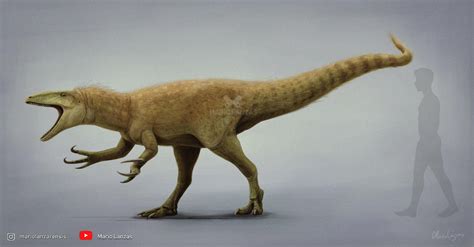 Australovenator By Mariolanzas On Deviantart