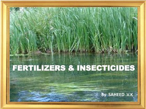 Fertilizer Ppt By Saheed Vk Pptx