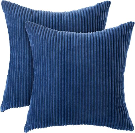 Turridu 2pcs Throw Pillow Covers Set 18 X 18 Velvet Cushion Pillowcase