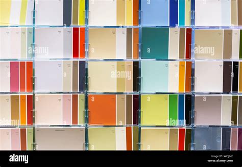 Samples Of Color Combinations The Palette Of Harmonious Colors Stock