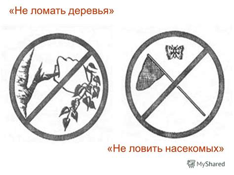 Презентация на тему: "Охрана природы. Заповедники. Окружающий мир 4 ...